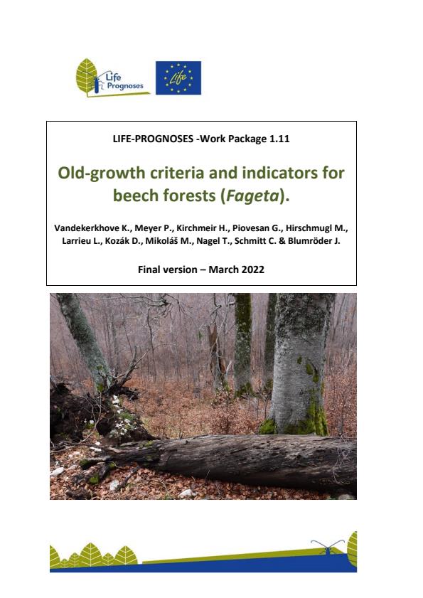 Old-growth criteria and indicators for beech forests (Fageta ...