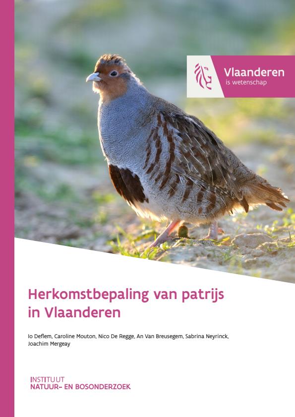 Herkomstbepaling van patrijs in Vlaanderen | Instituut voor Natuur- en ...